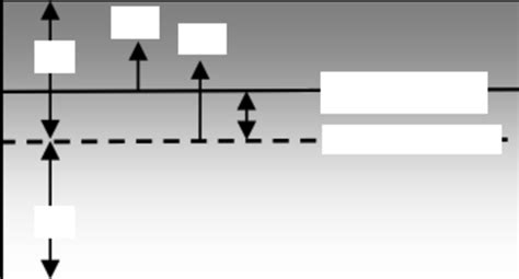 The Coordinate System Material Distribution And Neutral Surface Of A