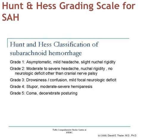 Hunt And Hess Grading Scale For Sah Severe Headache Nerve Palsy Subarachnoid Hemorrhage