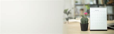 달력 책상과 선인장이 테이블 위에 놓여 있습니다 플래너를위한 데스크톱 캘린더 계획 의제 시간표 약속 조직 관리 각 날짜 월 연도