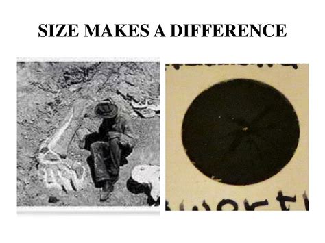 Ppt Microfossil Conservation Powerpoint Presentation Free Download