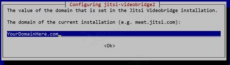 How To Install Jitsi On Debian RoseHosting