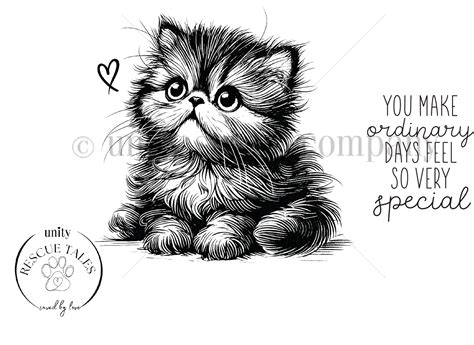 Junebug Rescue Tales