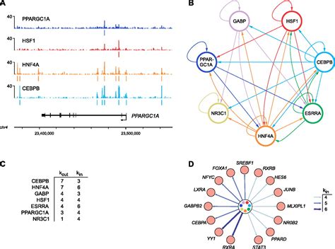 A Highly Integrated And Complex Ppargc1a Transcription Factor Binding Network In Hepg2 Cells