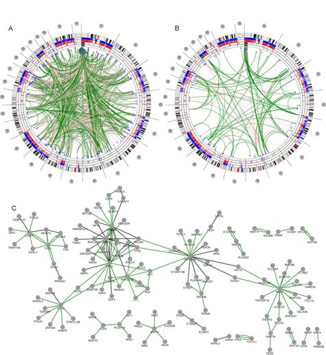 Illustration Of Copy Number Alterations And Gene Expression Value Download Scientific Diagram
