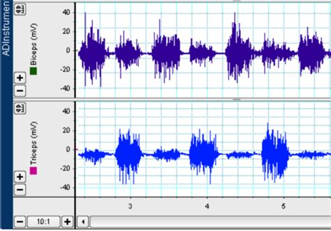 Pnb 2264 Lab 5 Flashcards Quizlet