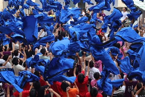 くすのき祭を知る くすのき祭