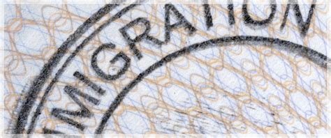 Naces National Association Of Credential Evaluation Services Ierf