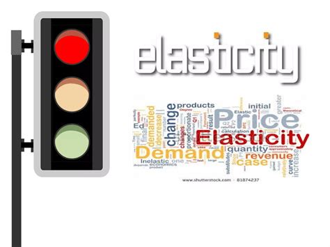Chapter 4 Elasticity Ppt