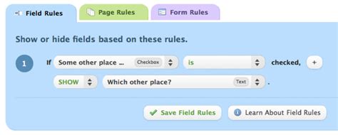 How To Allow For Other Input On Radio And Checkbox Fields Wufoo
