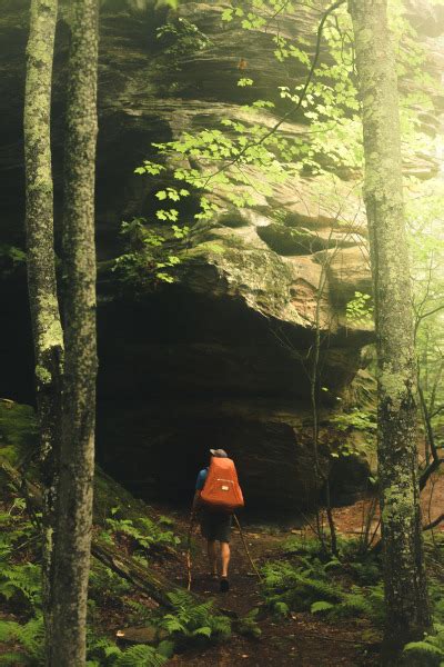 Pictured Rocks Forests By Jonah Reenders Tumbex