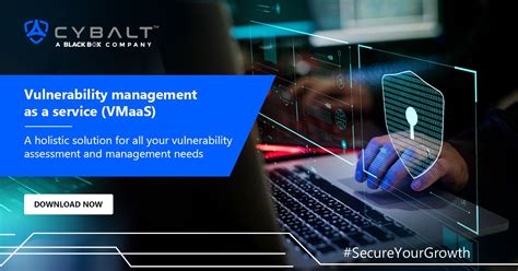 Cybalt On Linkedin Vulnerability Management As A Service Vmaas Cybalt