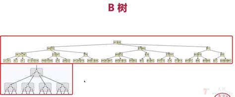 【数据结构与算法】 12 ：二叉树 天問 专注于大前端技术