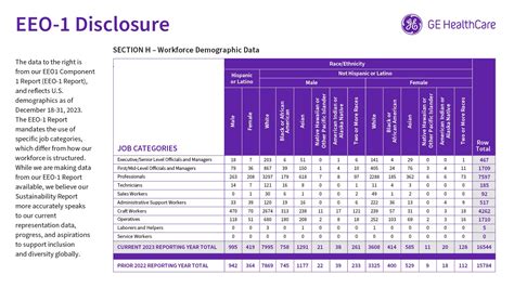 Culture Et Appartenance Ge Healthcare France
