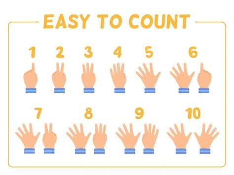 숫자로 계산하기위한 손 제스처의 집합입니다 프리미엄 벡터 손 교육 상