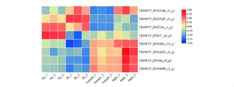 Cluster Diagram Of Obp And Csp Gene Expression At Different Download Scientific Diagram