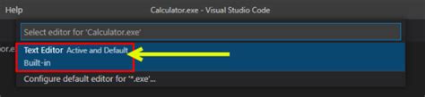 How To Open Exe Files In Visual Studio Code Coding Campus