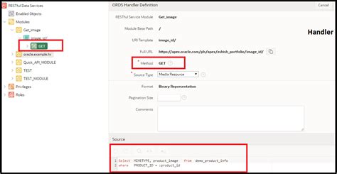 Get Images From ORACLE REST Web Service Ontoor Blogs