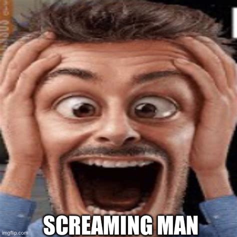 Image Tagged In Funnyscreamingmeme Mancrazy Imgflip