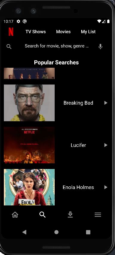 Github Hibernutsflutter Netflix