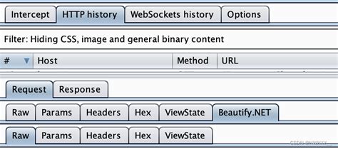 【burpsuite】插件开发学习之dotnet beautifier net beautifier csdn博客