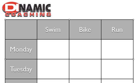 Programs Dinamic Coaching Programs Dinamic Coaching