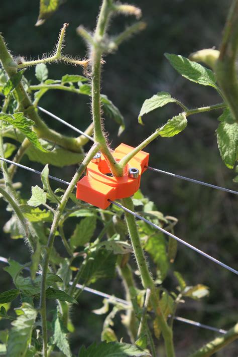 T Post Trellis Etsy