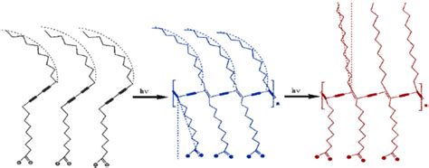Schematic Drawing Of Pda Phase Transition Left Monomers Of