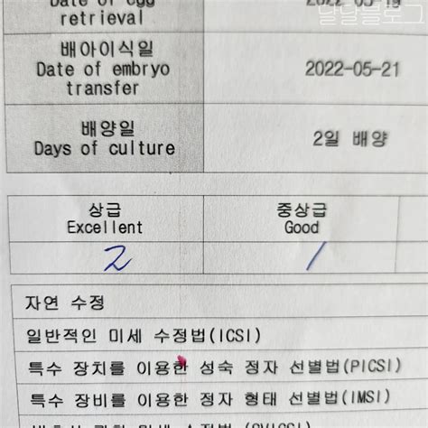 시험관 3일배양 보다 5일배양이 임신확률이 높을까｜장기요법과 단기요법