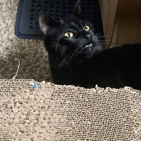 7902 Best Offending Images On Pholder Funnyand Sad Beetlejuicing And