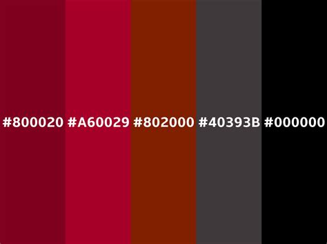 Burgundy Color Hex 800020