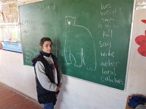 ჩემი პორტფოლიო საწრეო მუშაობა