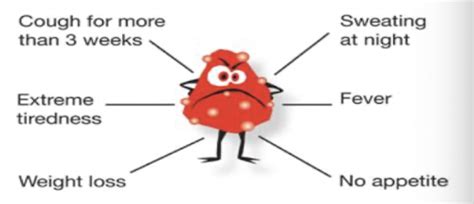 Antituberculosis Drugs Flashcards Quizlet