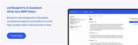 Birp Note Examples And Format Streamlining Documentation For Therapists