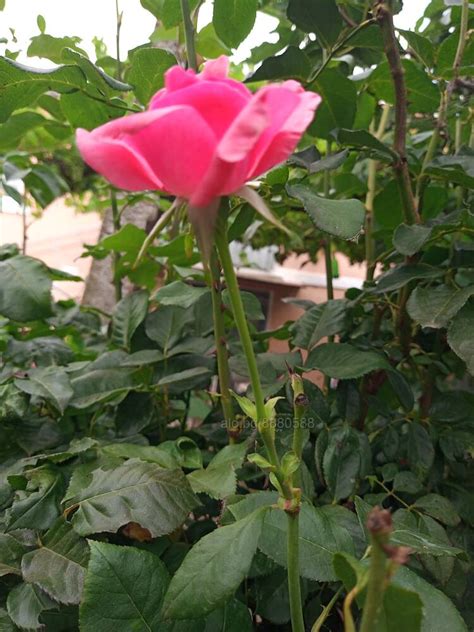 Търся си жена 42 год 40 год Мъж търси жена за сериозни отношения Варна Здравейте ми