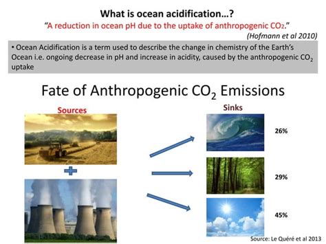 Ocean Acidification Cause Impact And Mitigation Pptx