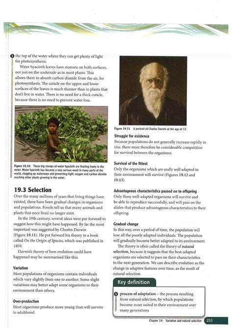 Biology Coursebook Montserrat26batista Page 257 Flip Pdf Online Pubhtml5