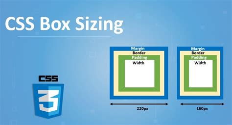 box sizing در css لرن پارسی
