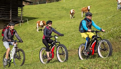 Rade Bike Tour Liesing Pallas Assing • Radfahren