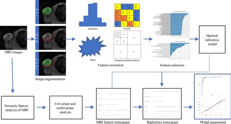 Prediction Of High Grade Soft Tissue Sarcoma Using A Combined Intratumoural And Peritumoural Mri