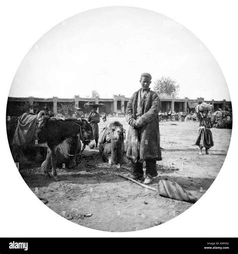 Samarkand City In Uzbekistan Cut Out Stock Images And Pictures Alamy