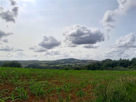 Hiking Holidays In Dorset Uk Foot Trails