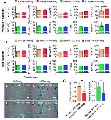 Comparison Of Resnet 50 And Inception Resnet V2 Architectures On Download Scientific Diagram
