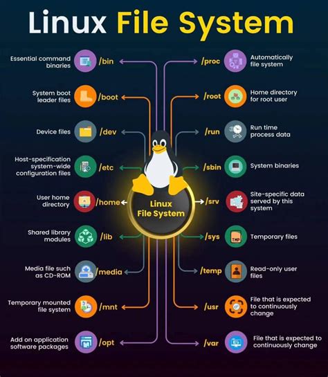 mohammad hasibul hasan on linkedin linux linuxfilesystem filesystem