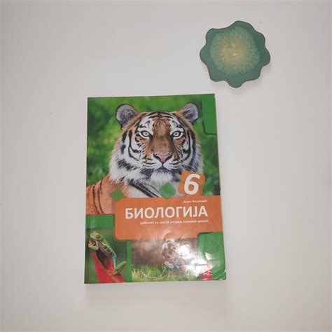 Biologija 6 Udžbenik Za Sesti Razred Bigz 75528381