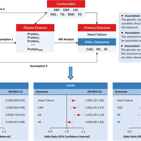 Workflow Of Transcriptomics Transcriptomics Analysis Begins With The