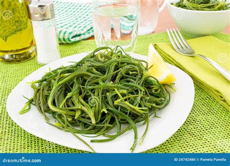 Agretti stock photo. Image of cooking, garnish, meal - 24742486