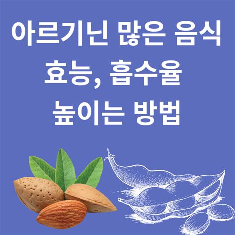 아르기닌 많은 음식 효능 흡수 잘되는 법