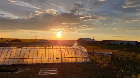 Лхагвагийн Хүүхдийн удам ба уламжлал хаана амьдарснаас шалтгаалах уу Удам дамжин өвлөгдөн