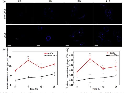 Figure 3 From Near Infrared Light Triggered Nitric Oxide Releasing Platform Based On