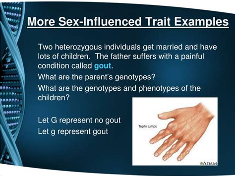 Ppt Genetics Powerpoint Presentation Free Download Id1447494
